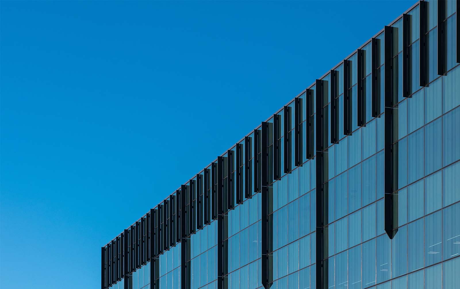 6-8 Munroe Lane - Ignite Architects